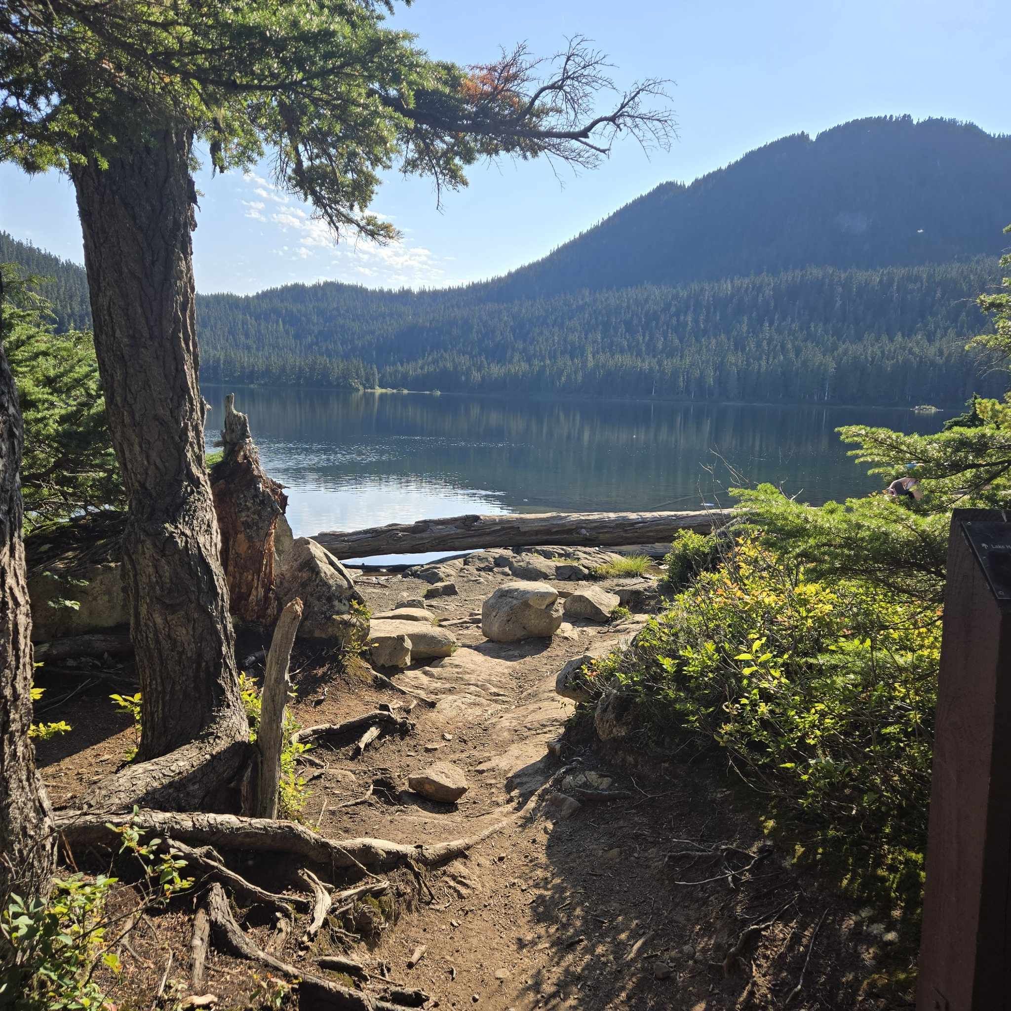 Comox Valley camping: where to go and what to know – The Discourse.