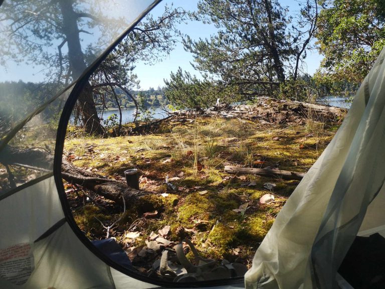 Comox Valley camping: where to go and what to know – The Discourse.