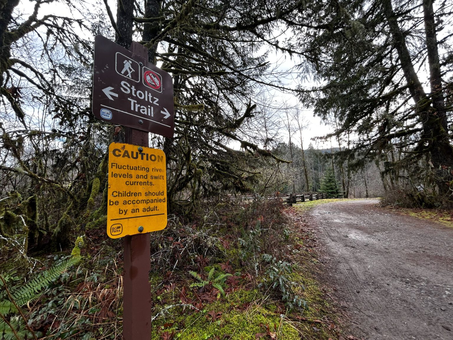 Some of the best camping spots near the Cowichan Valley – The Discourse.