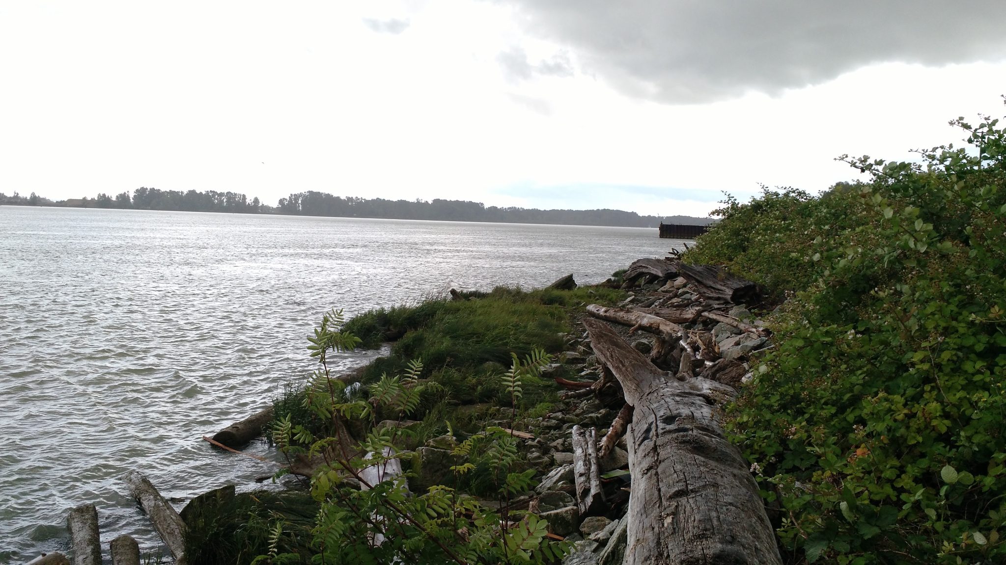 With court win, Quw’utsun Nation sees a ‘spiritual homecoming’ after ...